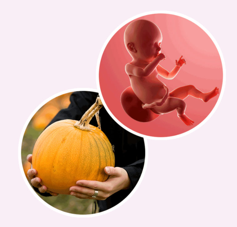 Dr. Ana-Maria Niculescu Frauenärztin